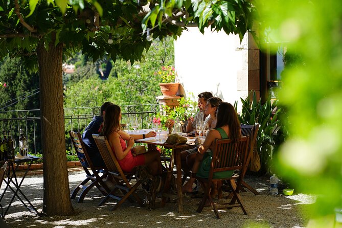Ebike Tour, Winery, Wine Tasting & Sailing Experience(car option) - An In-Depth Look at the Tour Itinerary