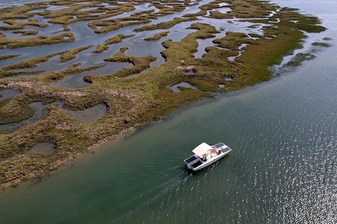 Eco Boat Tour in the Ria Formosa Lagoon from Faro - Why This Tour Is Worth Considering