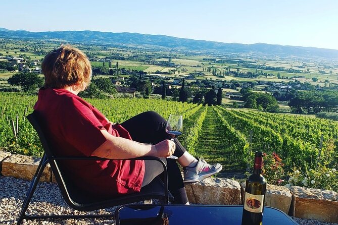 Enjoy and Taste the Flavors of Wine in an Open-air Venue - Breaking Down the Experience: What to Expect