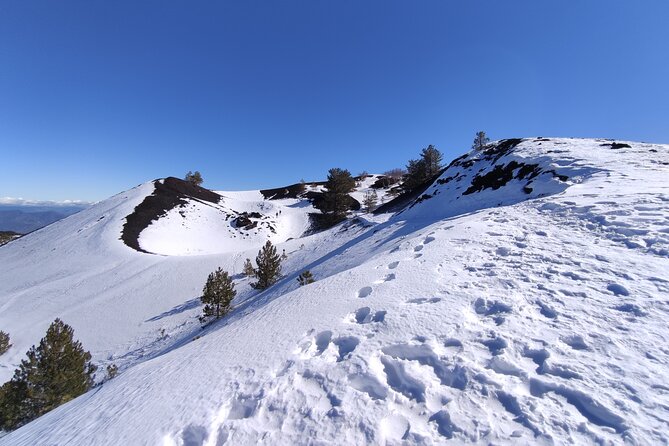 Etna and Alcantara Gorges Excursion - Practical Details and Pricing