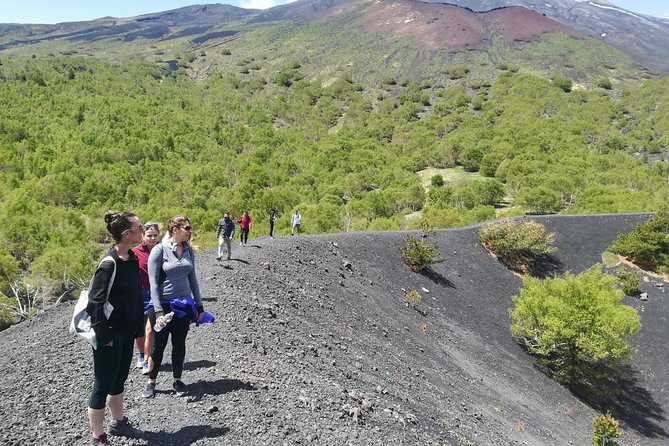 Etna, Wine and Alcantara Tour - From Taormina - A Close Look at the Itinerary and What You Can Expect