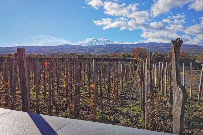 Etna Wine and Alcantara - A Close Look at the Itinerary