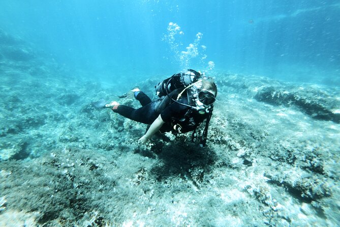 First Experience Scuba Diving - Why This Tour Offers Excellent Value