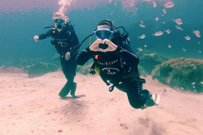 First scuba diving experience with instructor - Malta - An Introduction to Malta’s Underwater World