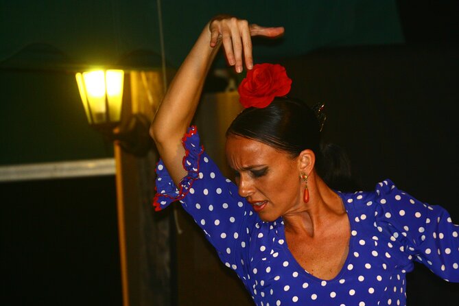 Flamenco and Grill evening on the banks of Lake Guadalmina - The Experience in Detail