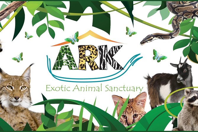 Fox Encounter for 2 people and park entry - Who would love this experience?