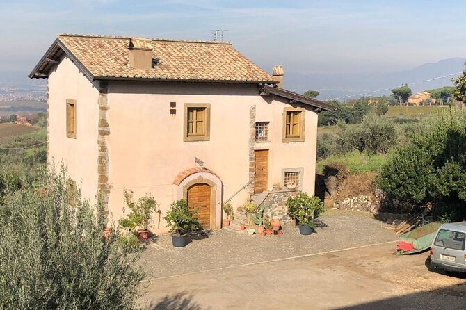 Frascati Day Tour: Road from Rome with Wine Tasting & Lunch - What Makes This Tour Stand Out?