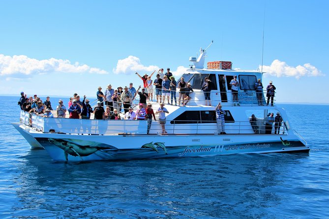 Freedom 3/4 Day Hervey Bay Premium Whale Watching Cruise - An In-Depth Look at the Tour Experience