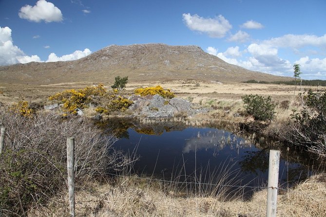 From Galway: Guided tour of Connemara with 3 hour stop in Kylemore Abbey - The Itinerary in Detail: What to Expect