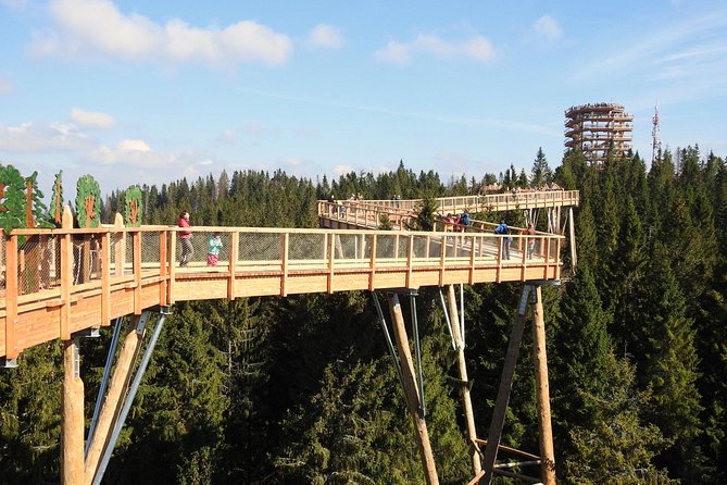 From Kraków: Slovakia Treetop Walk Bachledka and Zakopane - What to Expect at the Treetop Walk