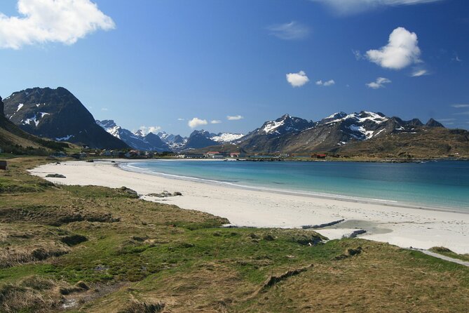 From Leknes port: Special Summer Guided Tour of Lofoten - What the Tour Offers and Why It Matters