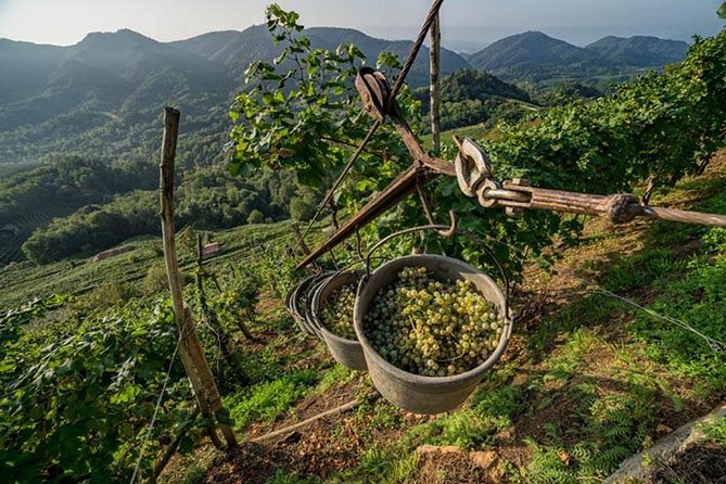 From Venice : Wine and Food tour in the Prosecco Hills - Starting the Day: Convenient Pickup & Scenic Drive