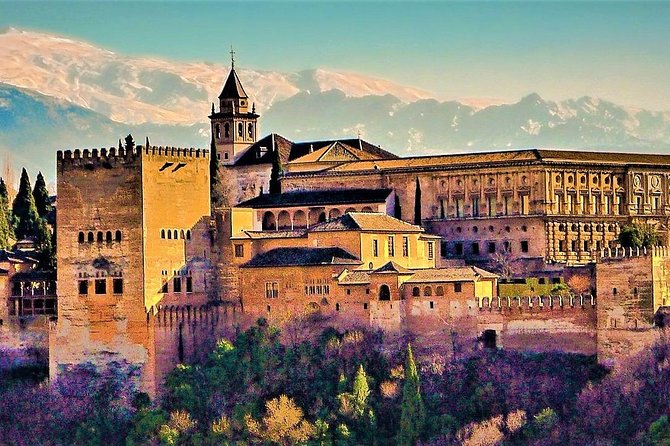 Full Alhambra tour with preferential access (SPANISH language) - What to Expect from the Full Alhambra Tour
