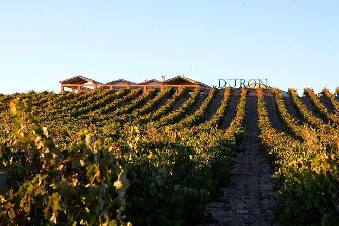 Full day at the winery, visit, tasting, aperitif and lunch - The Practical Side of Things