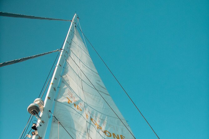 Full-Day Catamaran Cruise with Lunch in Island of Malta - The Overall Experience