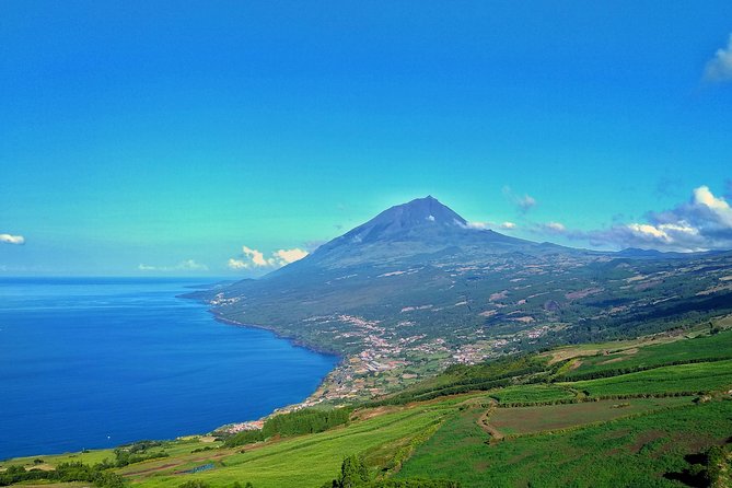 Full-Day Guided Tour in Pico Island - Exploring Pico in Depth