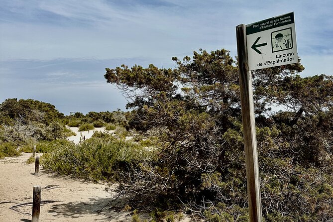 Full-Day Private Sailboat Tour of Ibiza and Formentera - Key Points