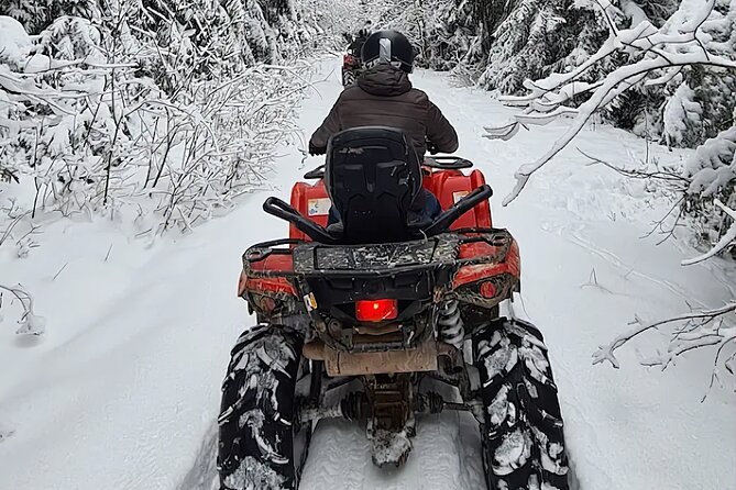 Full day Tour Zakopane Snowmobiles Thermal Baths from Krakow - Introduction to the Experience