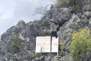 Full day trip to lan ha ha long bay from cat ba, avoid the crowds what makes this tour stand out