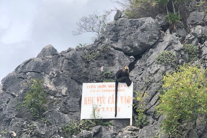Full day trip to lan ha ha long bay from cat ba, avoid the crowds what makes this tour stand out