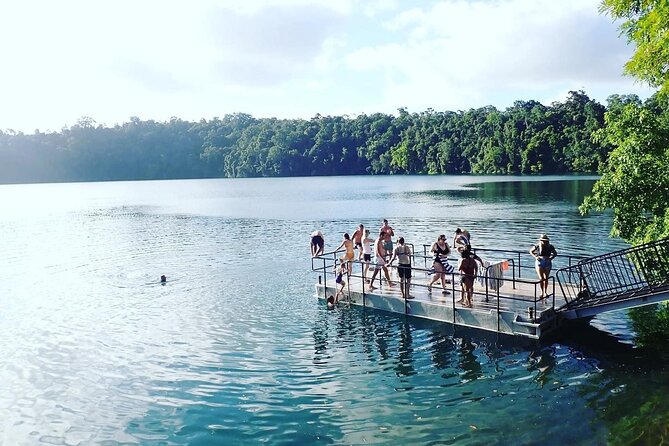 Fun, Falls and Forests Day Trip from Cairns - An Authentic Day in Cairns’ Natural Beauty