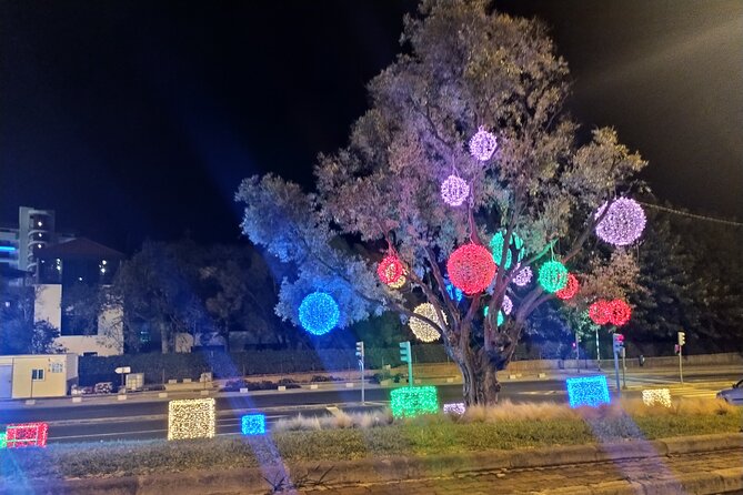 Funchal Christmas lights sightseeing night tour - Why This Tour Feels Special