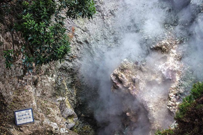 Furnas & Terra Nostra Botanic Park Tour w/Lunch + Hotsprings Bath - A Closer Look at the Itinerary