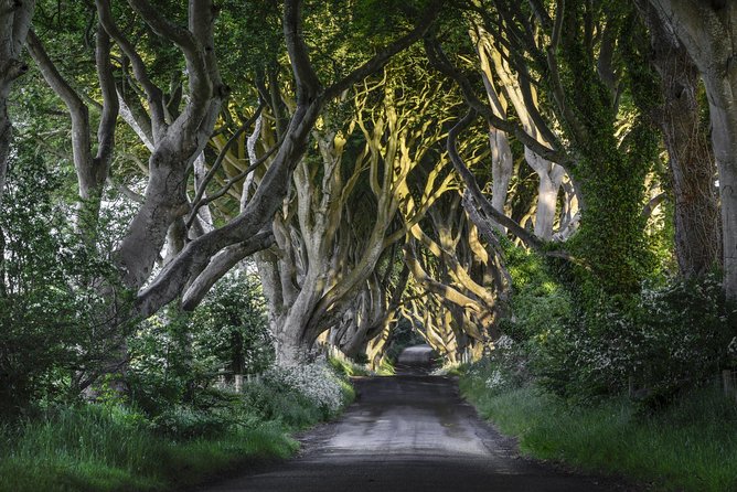 Game of Thrones and Giant's Causeway Full-Day Tour from Belfast - Key Points