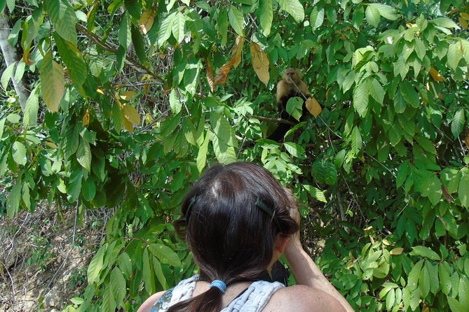 Gatun Lake Wildlife Tour from Panama City - An In-Depth Look at What You Can Expect