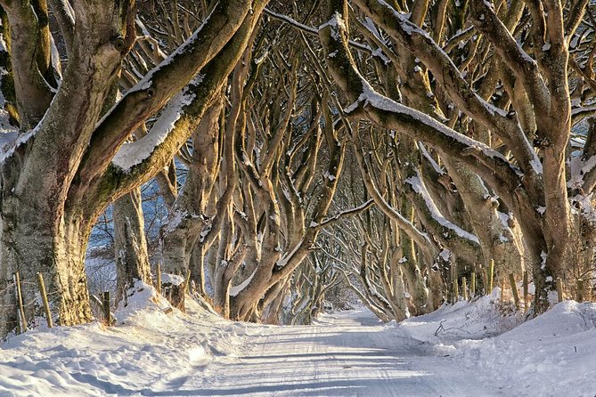 Giant's Causeway with the Titanic Exhibition and the best of Northern Ireland - The Sum Up