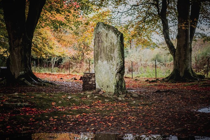 Glen Affric & Culloden Tour from Inverness Including Admissions - The Route in Detail: What You’ll Experience