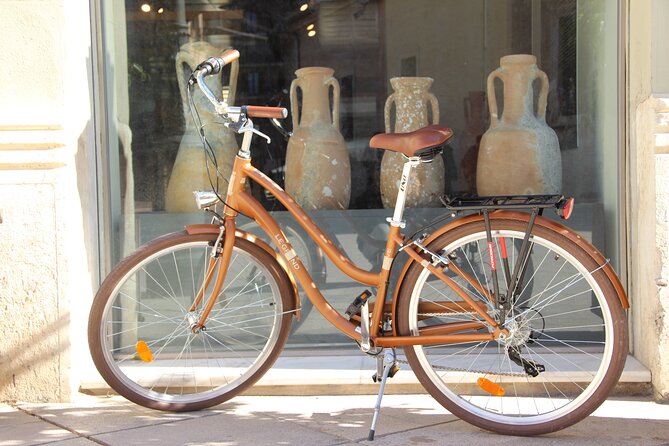 GRAND CITY Private Guided Tour on Bike, E-Bike, E-Step or Segway - Why Choose the Grand City Tour?