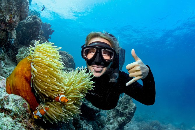 Great Barrier Reef Full Day Tour from Cairns - An In-Depth Look at the Experience