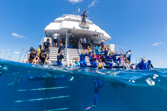 Great Barrier Reef Snorkeling and Diving Cruise from Cairns - Key Points