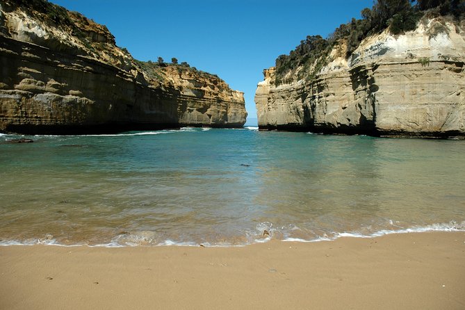 Great Ocean Road Tour Plus Koalas, Forest Walk and Morning Tea - What Travelers Say
