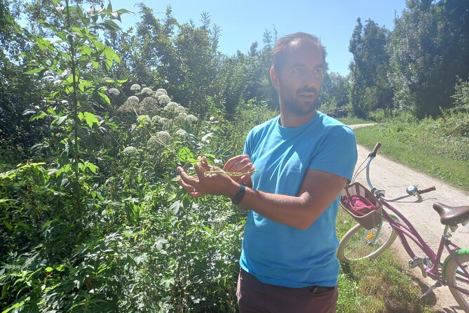 Green Venice Cycling Getaway - Why This Tour Is Worth Your Time