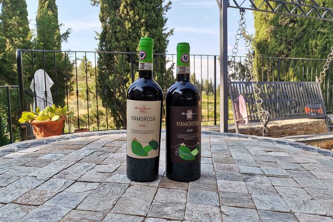 Greve in Chianti Wine Tasting and Winery Tour - The Itinerary: What to Expect