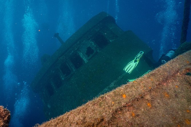 Guided Boat Dives for Certified Divers - The Dive Sites & Marine Encounters