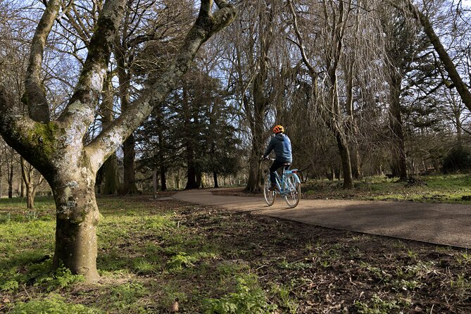 Guided Cycle Tours of Cardiff - An In-Depth Look at the Tour Experience