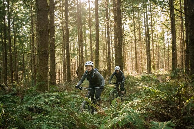 Guided E-Bike Day Trips Dorset - What to Expect from a Dorset Guided E-Bike Tour