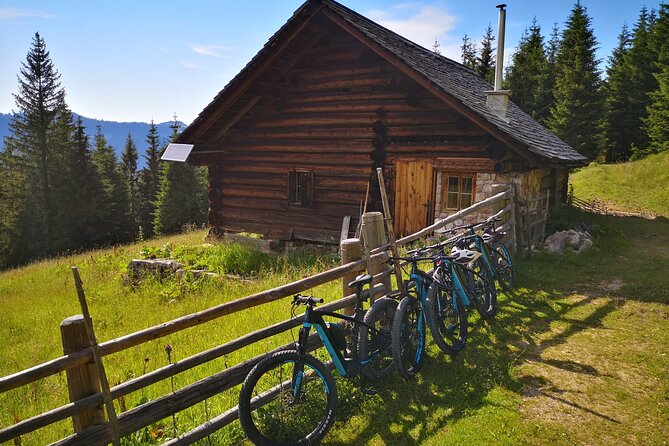 Guided e-bike tour of the alpine pastures in the Salzkammergut - The Route and What You’ll Experience