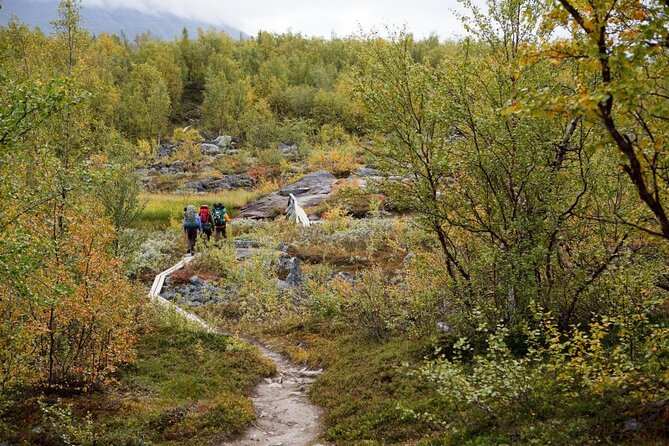 Guided Ice Climbing Activity in Pyhä - Key Points