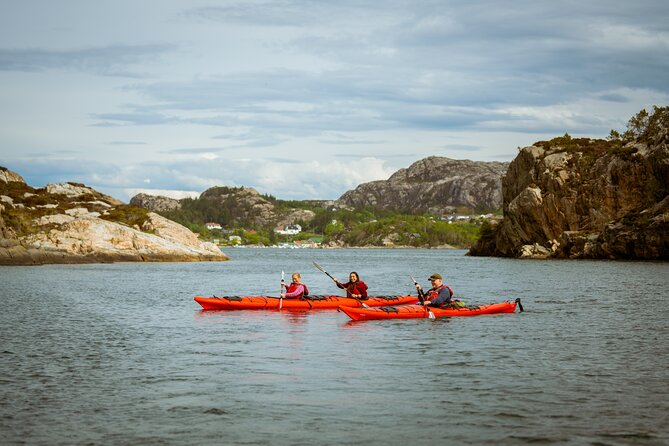 Guided Kayak Tour Bergen - Practical Details and Value