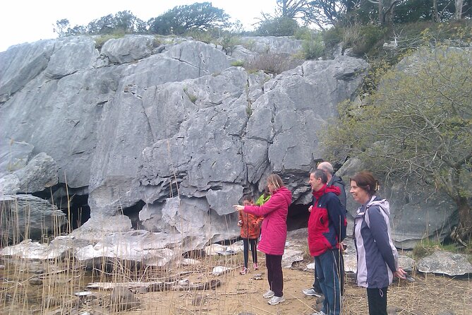 Guided Killarney National Park Walking Tour - Who Will Love This Tour?