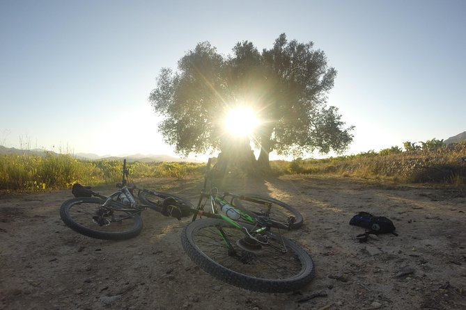 Guided mountain bike route - "Pata Negra" Tour - What Travelers Are Saying