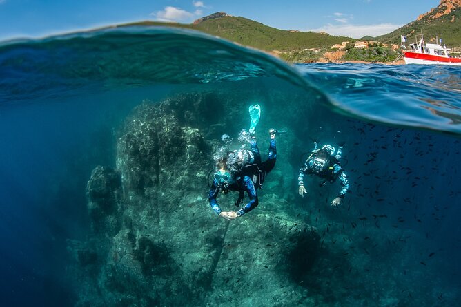 guided Scuba Diving on Tenerife (for certified divers) - Discovering Tenerife’s Underwater Charm