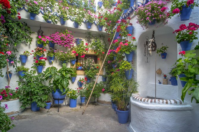 Guided Tour to the Popular Patios of Cordoba - Key Points