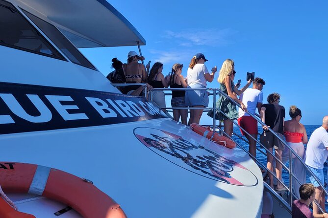 Half-Day Cruise Tour-Dolphin and Whale Watching - Starting Point: Puerto Rico