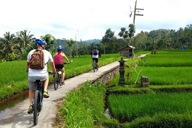 Half-Day Electric Cycling Tour of Ubud - An Authentic Introduction to Ubud’s Countryside