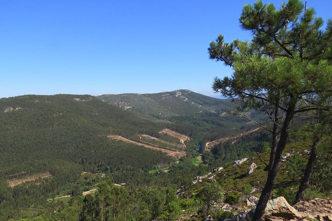 Half-day Hike & Picnic with Dog Love in Porto's Mountains - Exploring Porto’s Natural Side: An In-Depth Look at the Experience